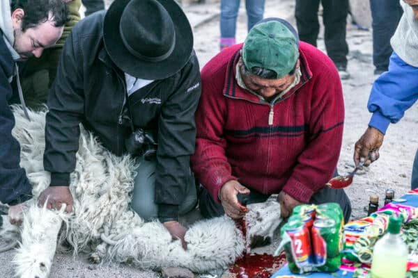 Año Nuevo Aymara (Machaq Mara) | Región de Tarapacá